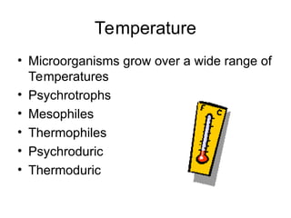 Microbes for humans, food microbiology and basics | PPT