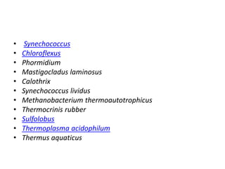 Microbes from valcanos | PPT
