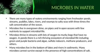 Microbes present in air, water and soil | PPTX