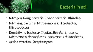 Microbes present in air, water and soil | PPTX