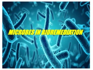 Microbes in bioremediation | PPTX