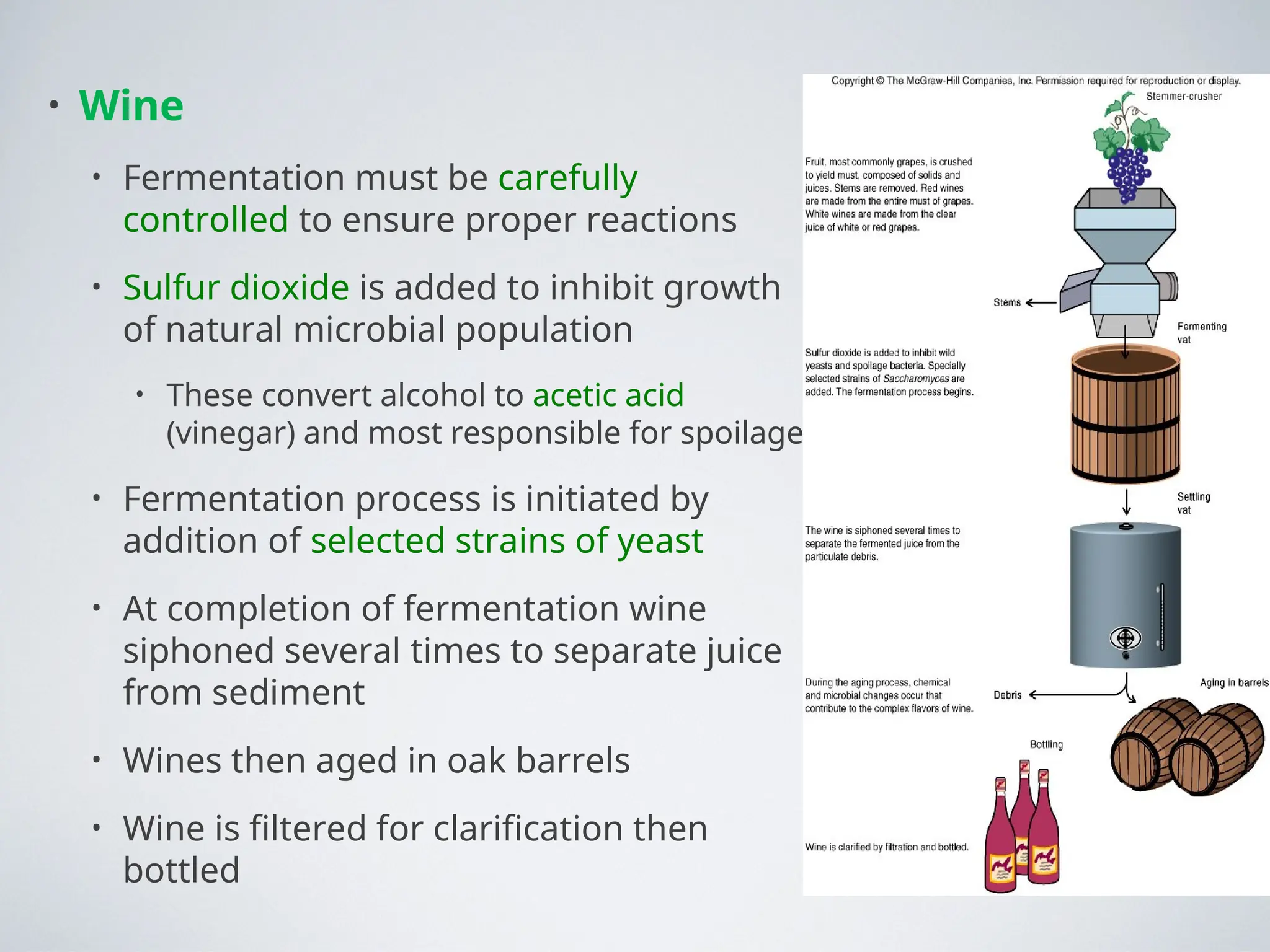 Microbes in food fermentation- Food Microbiology | PPT