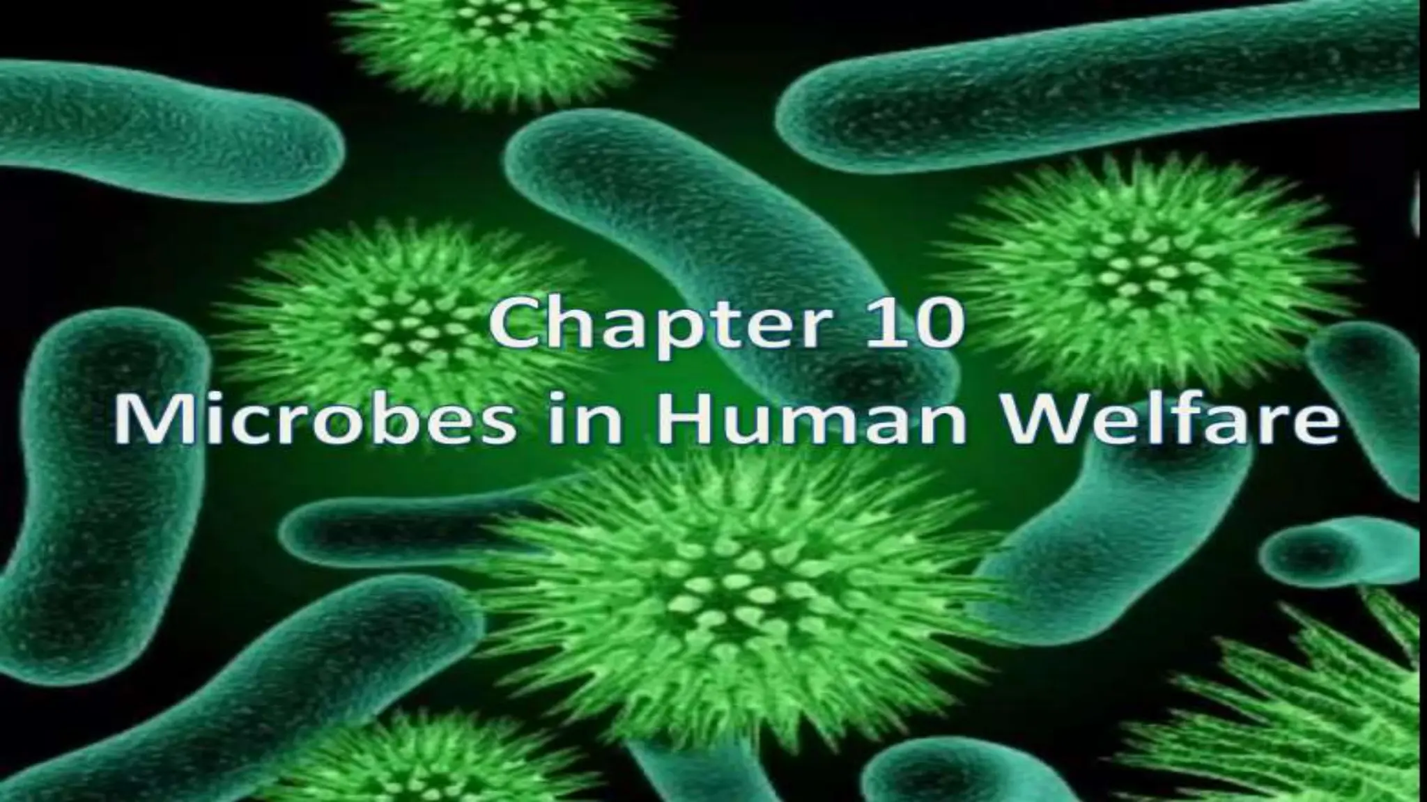 Microbes in Household Products Presentation for Class | PPTX