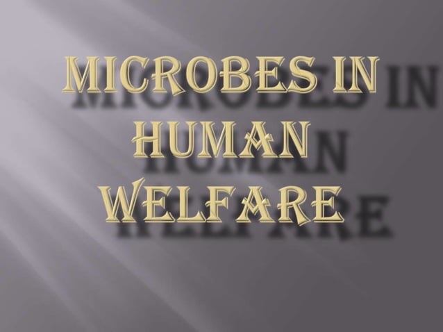 Microbes in human welfare | PPTX