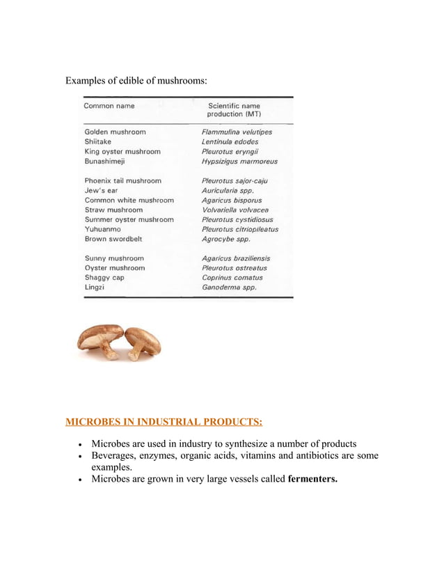 Notes for Microbes in Human Welfare - 12th Biology | DOC | Biotech and ...