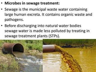 Microbes in human welfare by mohanbio | PPTX