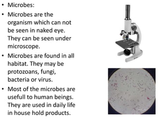 Microbes in human welfare by mohanbio | PPTX
