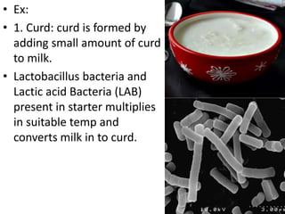 Microbes in human welfare by mohanbio | PPTX