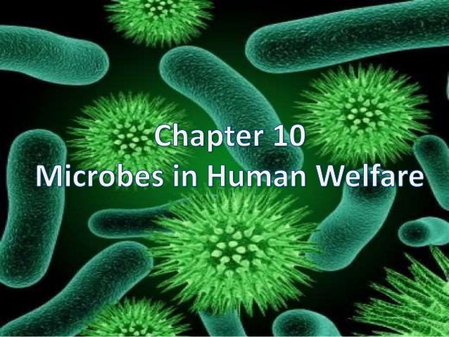 microbes in human welfare notes