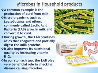 Microbes in human welfare | PPTX | Chemistry | Science