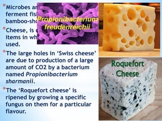 Microbes in human welfare | PPTX