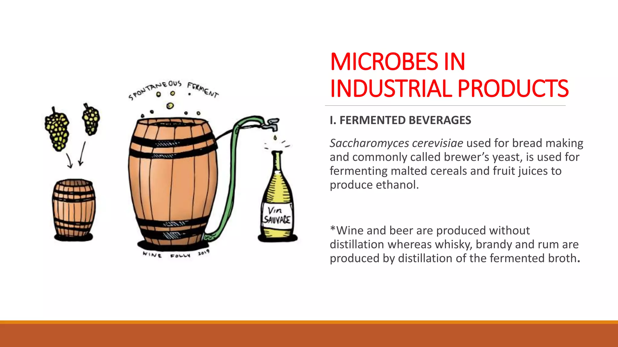 Microbes in human welfare | PPTX