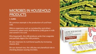 Microbes in human welfare | PPTX