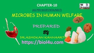 Microbes in human welfare-NCEERT Based for NEET | PDF | Food & Drink