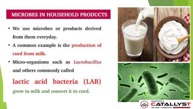 MICROBES IN HUMAN WELFARE.pptx