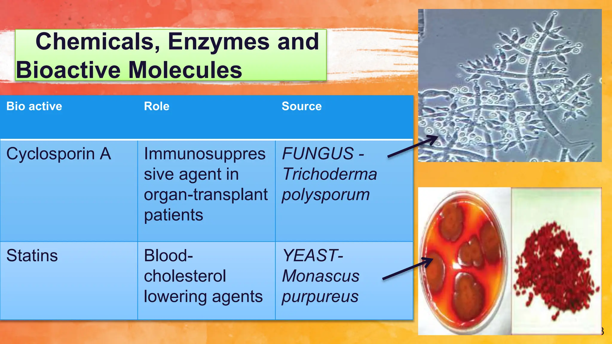 MICROBES IN HUMAN WELFARE.pptx class XII Biology | PPTX