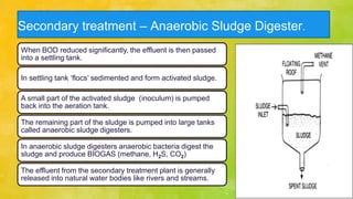 MICROBES IN HUMAN WELFARE.pptx class XII Biology | PPTX