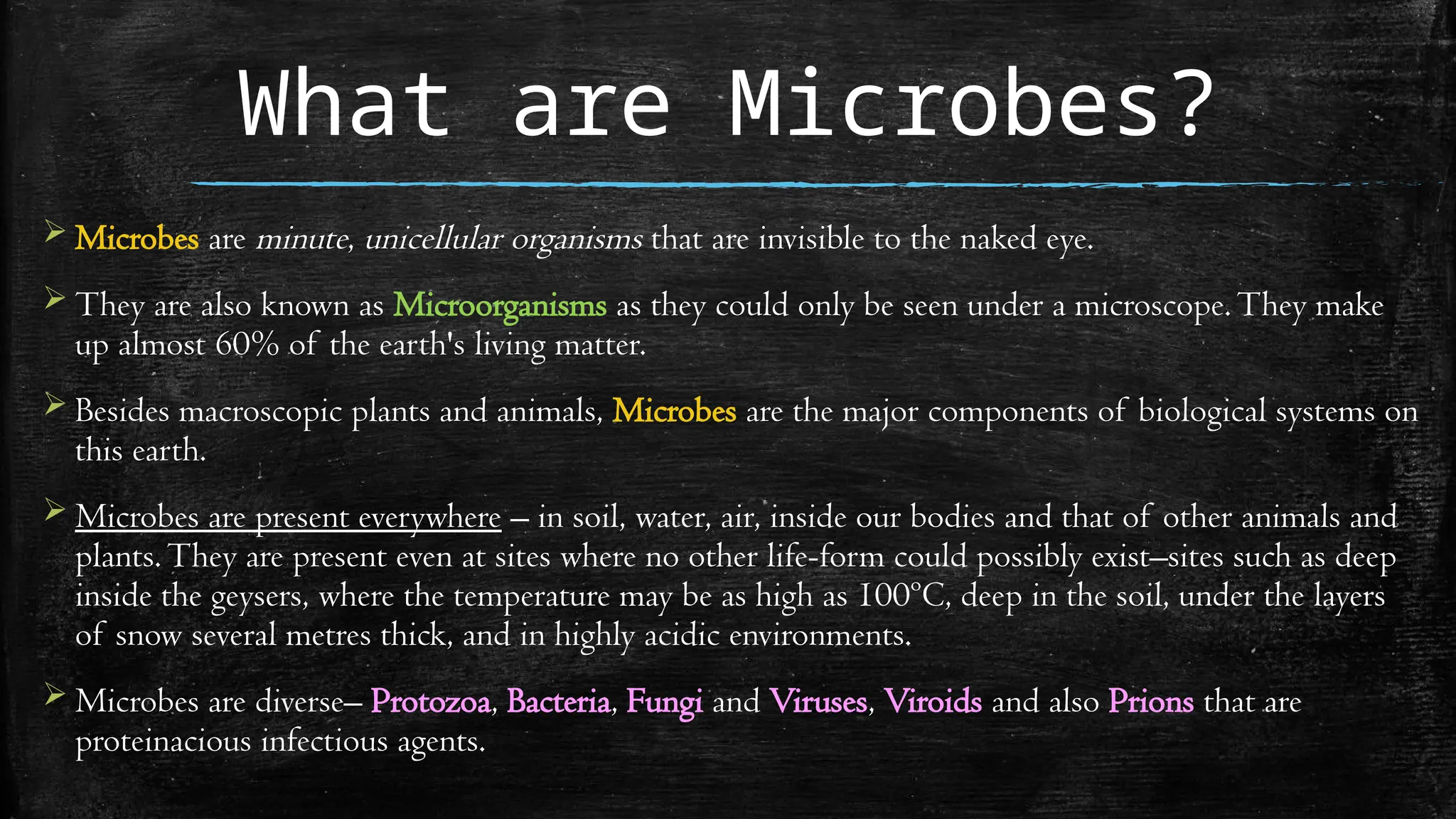 Microbes in Human Welfare PPT Class - 12 | PPTX