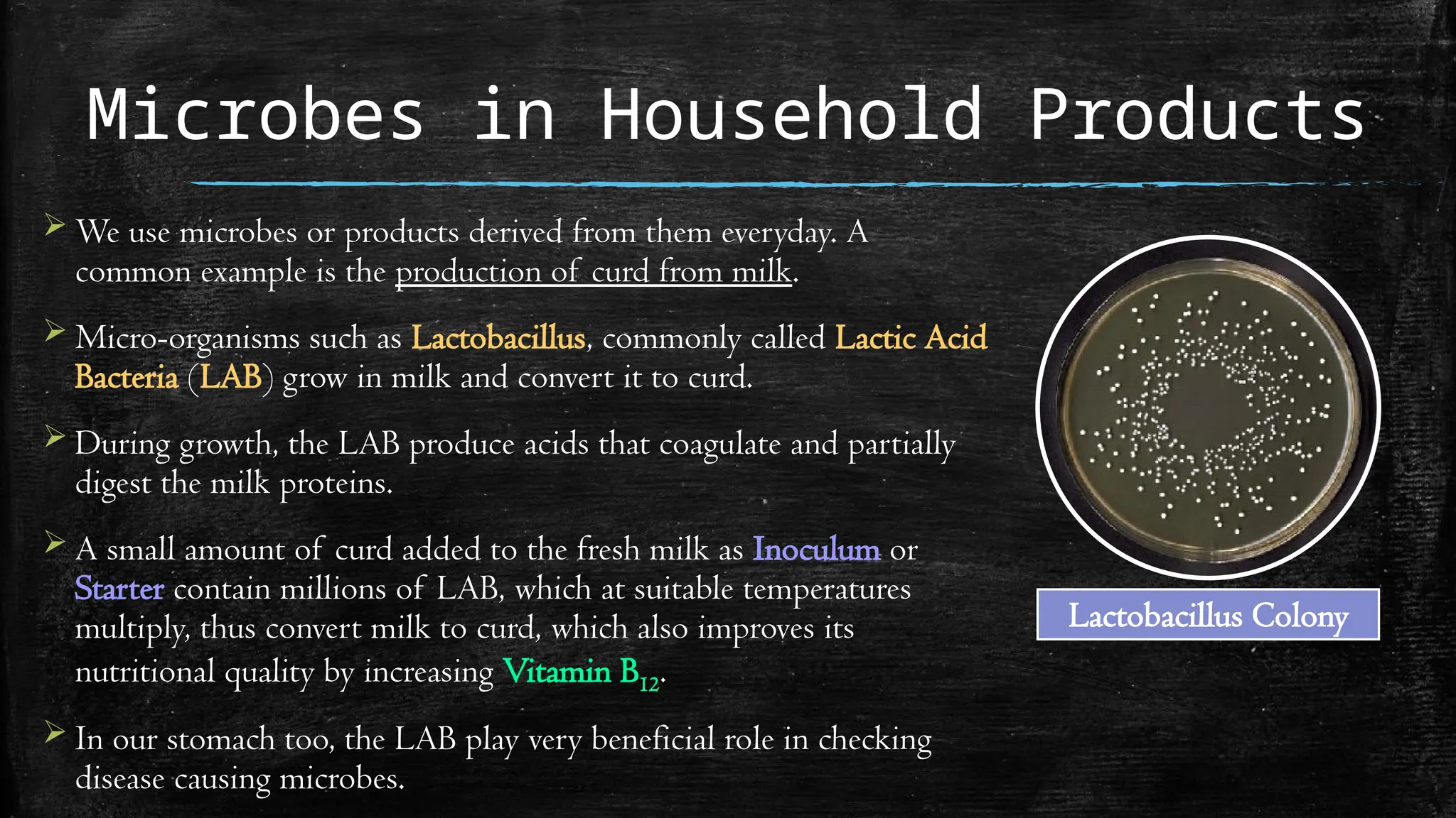 Microbes in Human Welfare PPT Class - 12 | PPTX