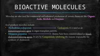 Microbes in Human Welfare PPT Class - 12 | PPTX