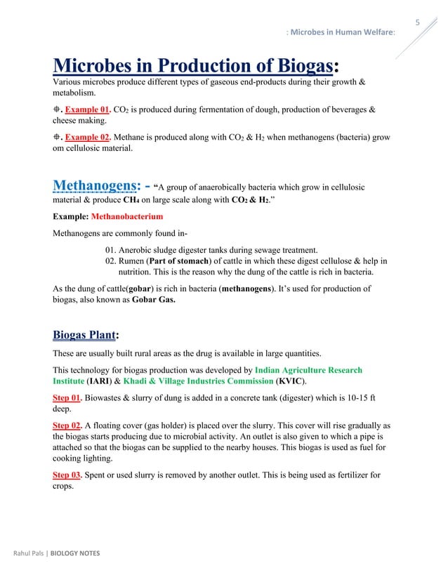 Microbes in Human Welfare Notes Written By Me.pdf
