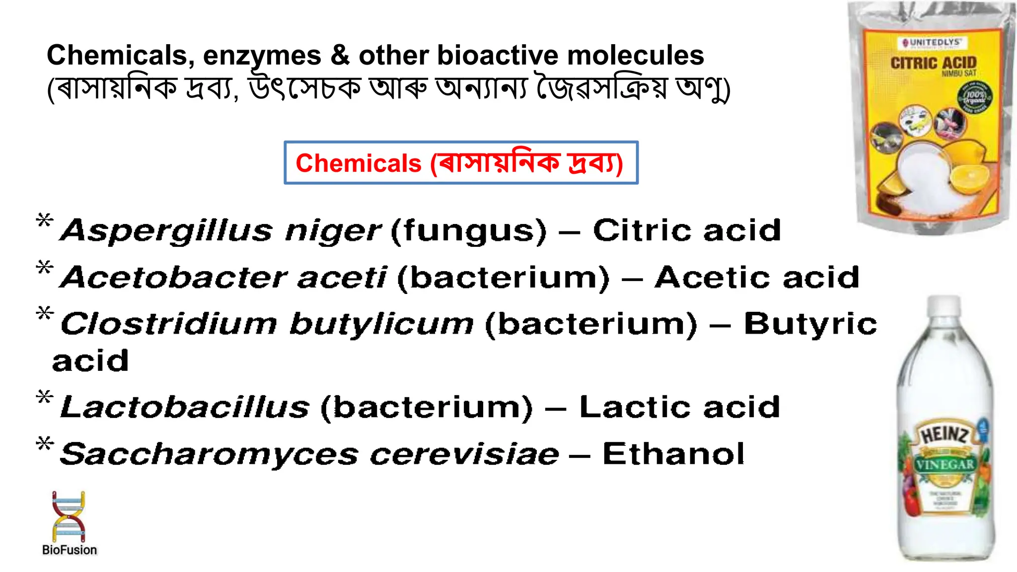 MICROBES IN HUMAN WELFARE -CLASS 12 BIOLOGY.pptx