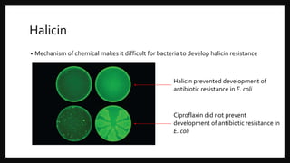Microbes in the Media: In Silico Screening and Halicin | PPT