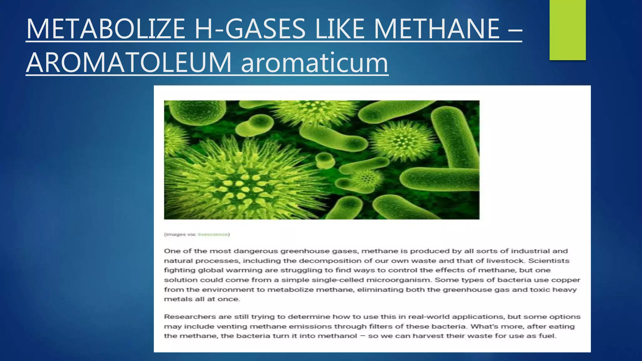 Microbes in pollution control | PPTX