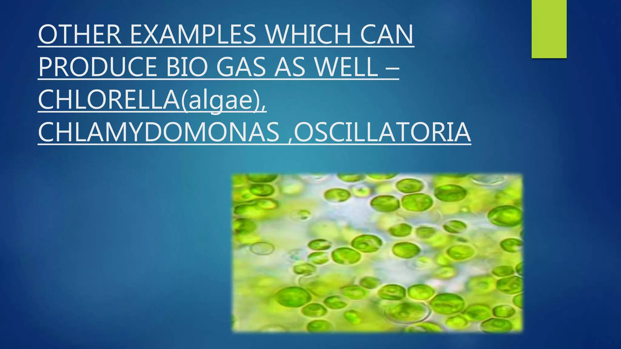 Microbes in pollution control | PPTX