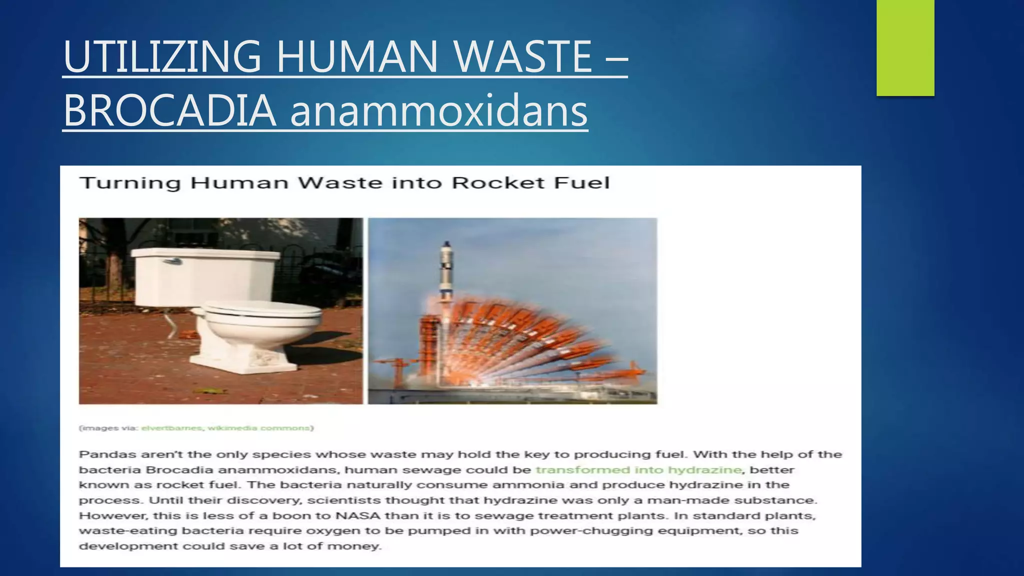 Microbes in pollution control | PPTX