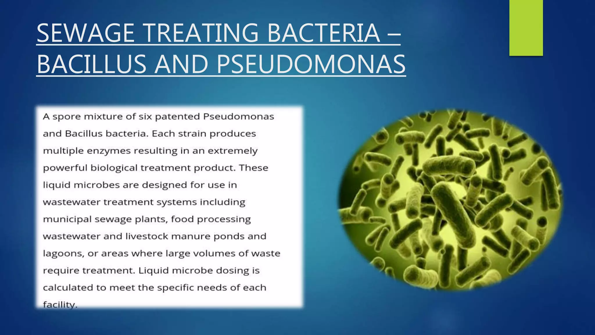Microbes in pollution control | PPTX