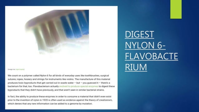 Microbes in pollution control | PPTX | Chemistry | Science