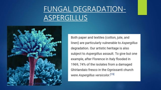 Microbes in pollution control | PPTX | Chemistry | Science