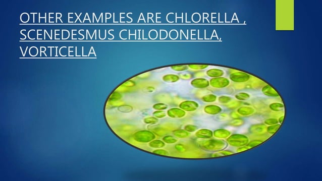 Microbes in pollution control | PPTX | Chemistry | Science
