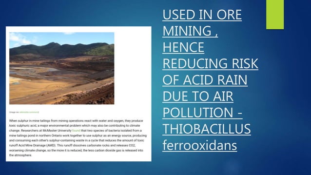 Microbes in pollution control | PPTX | Chemistry | Science