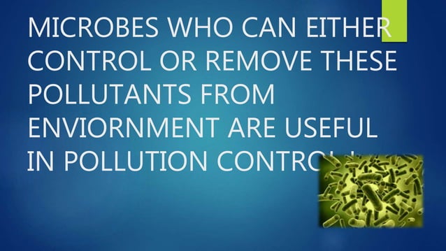 Microbes in pollution control | PPTX | Chemistry | Science