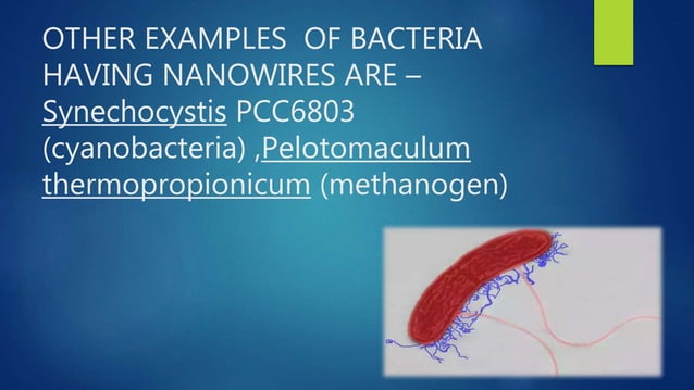 Microbes in pollution control | PPTX | Chemistry | Science