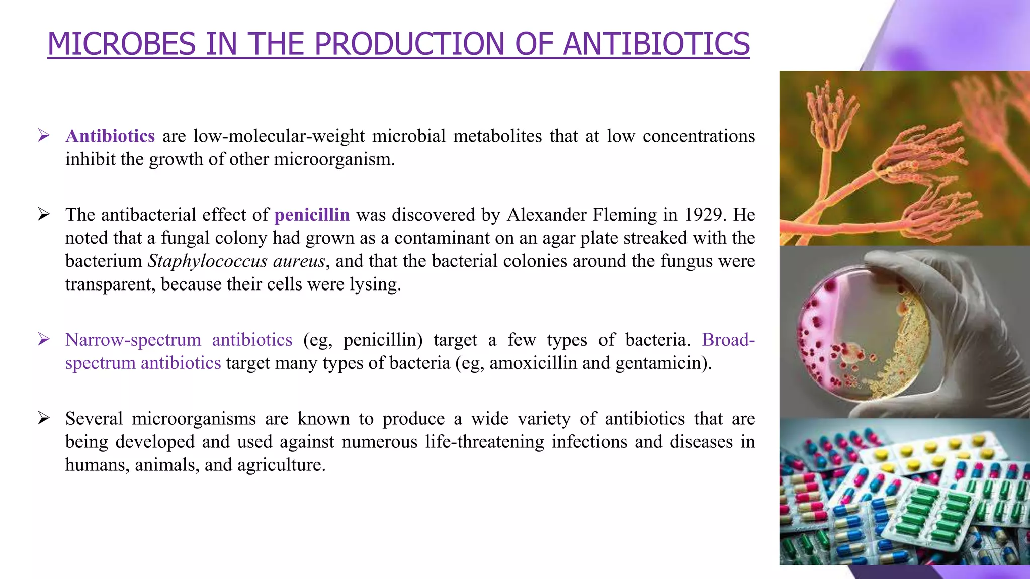 Microbes in production of enzymes, antibiotics and biopolymer | PPTX