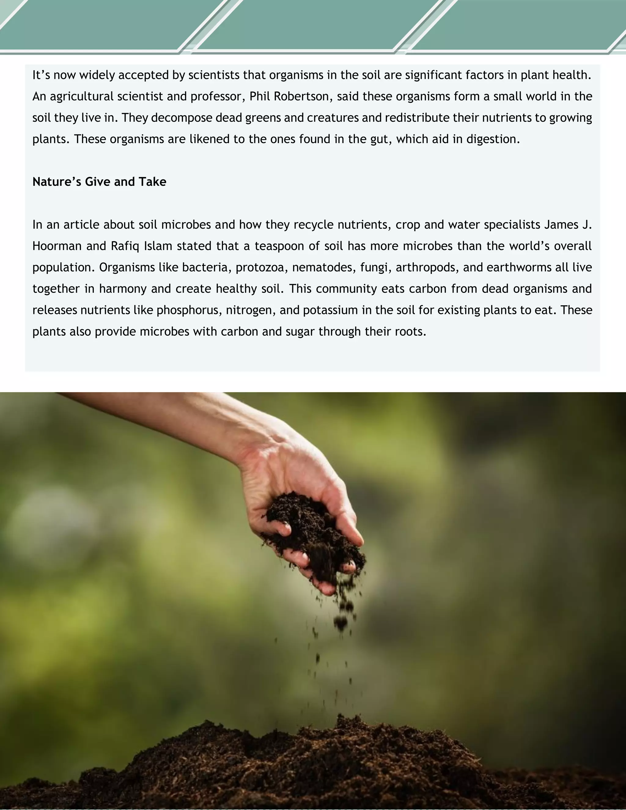 Microbes in Soil Essential to Plant Growth, Scientists Say | PDF