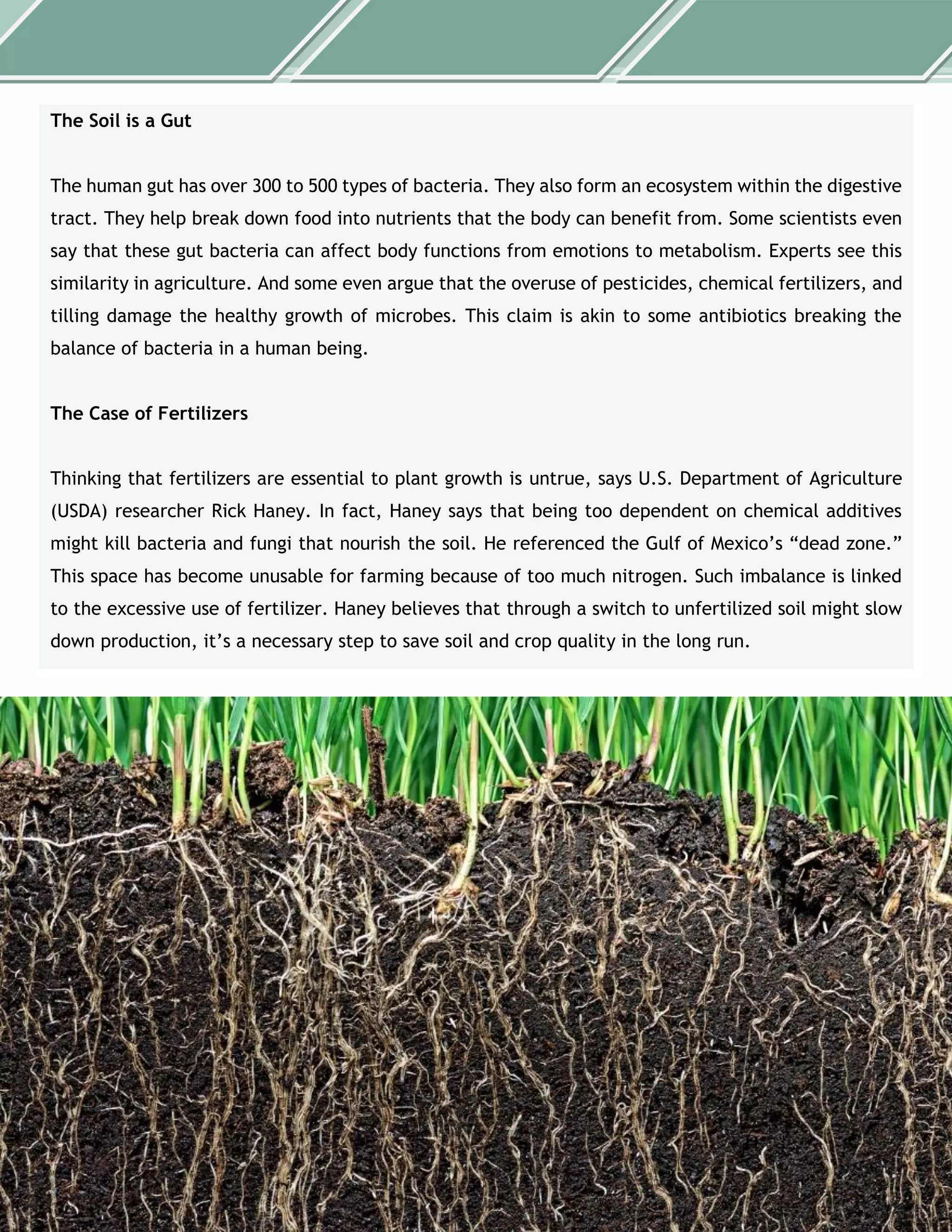 Microbes in Soil Essential to Plant Growth, Scientists Say | PDF