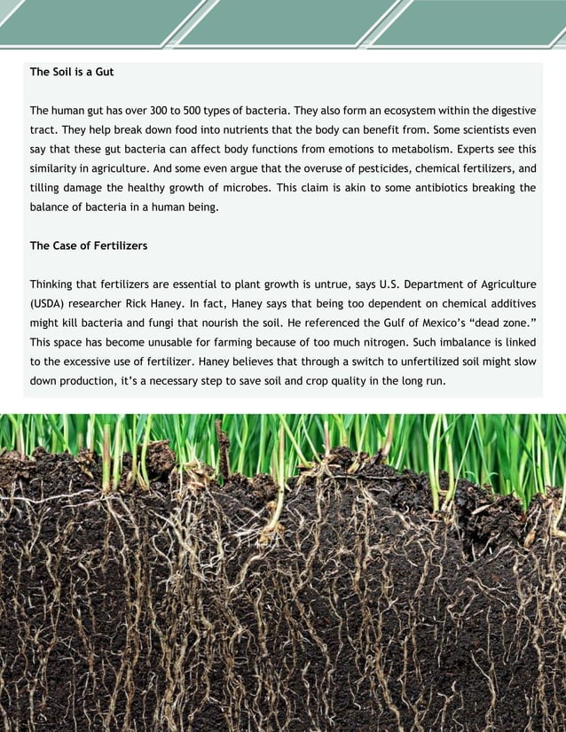 Microbes in Soil Essential to Plant Growth, Scientists Say | PDF