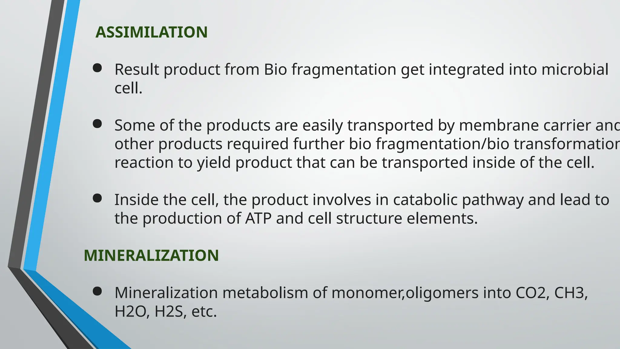 Microbes involved in aerobic and anaerobic process in nature .pptx