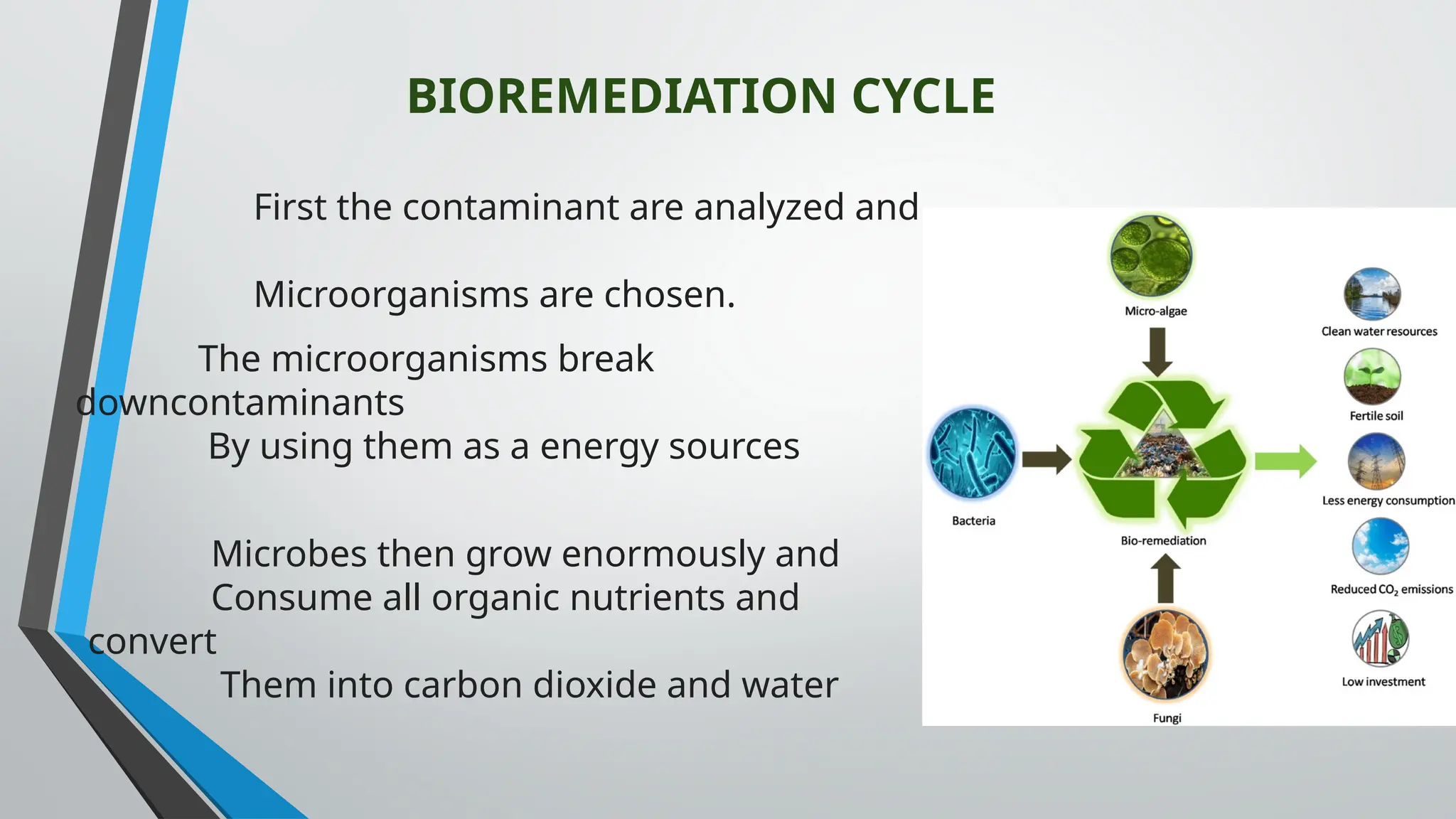 Microbes involved in aerobic and anaerobic process in nature .pptx