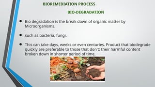 Microbes involved in aerobic and anaerobic process in nature .pptx