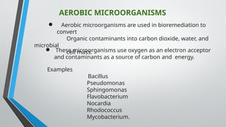 Microbes involved in aerobic and anaerobic process in nature .pptx
