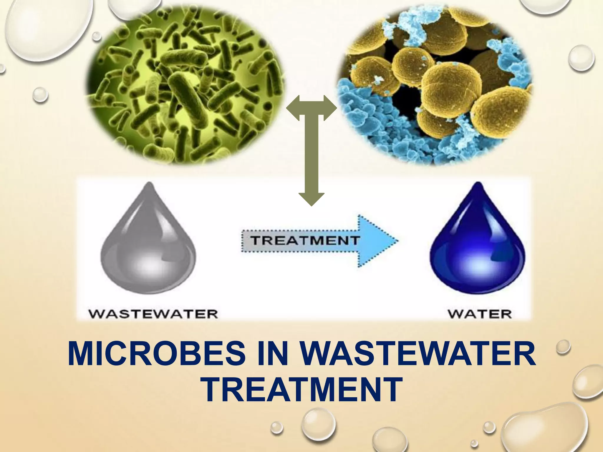 Microbes in waste water treatment | PPTX