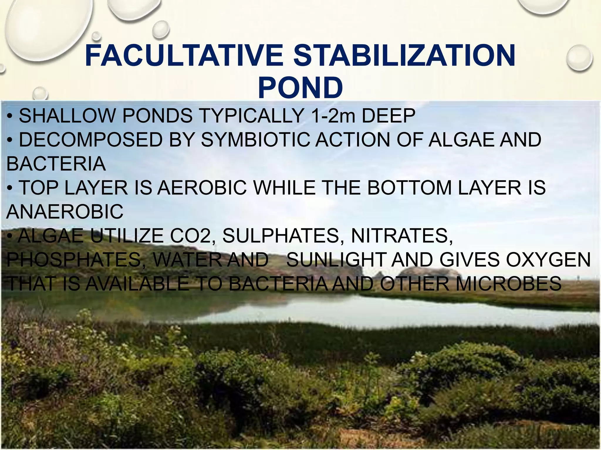 Microbes in waste water treatment | PPTX