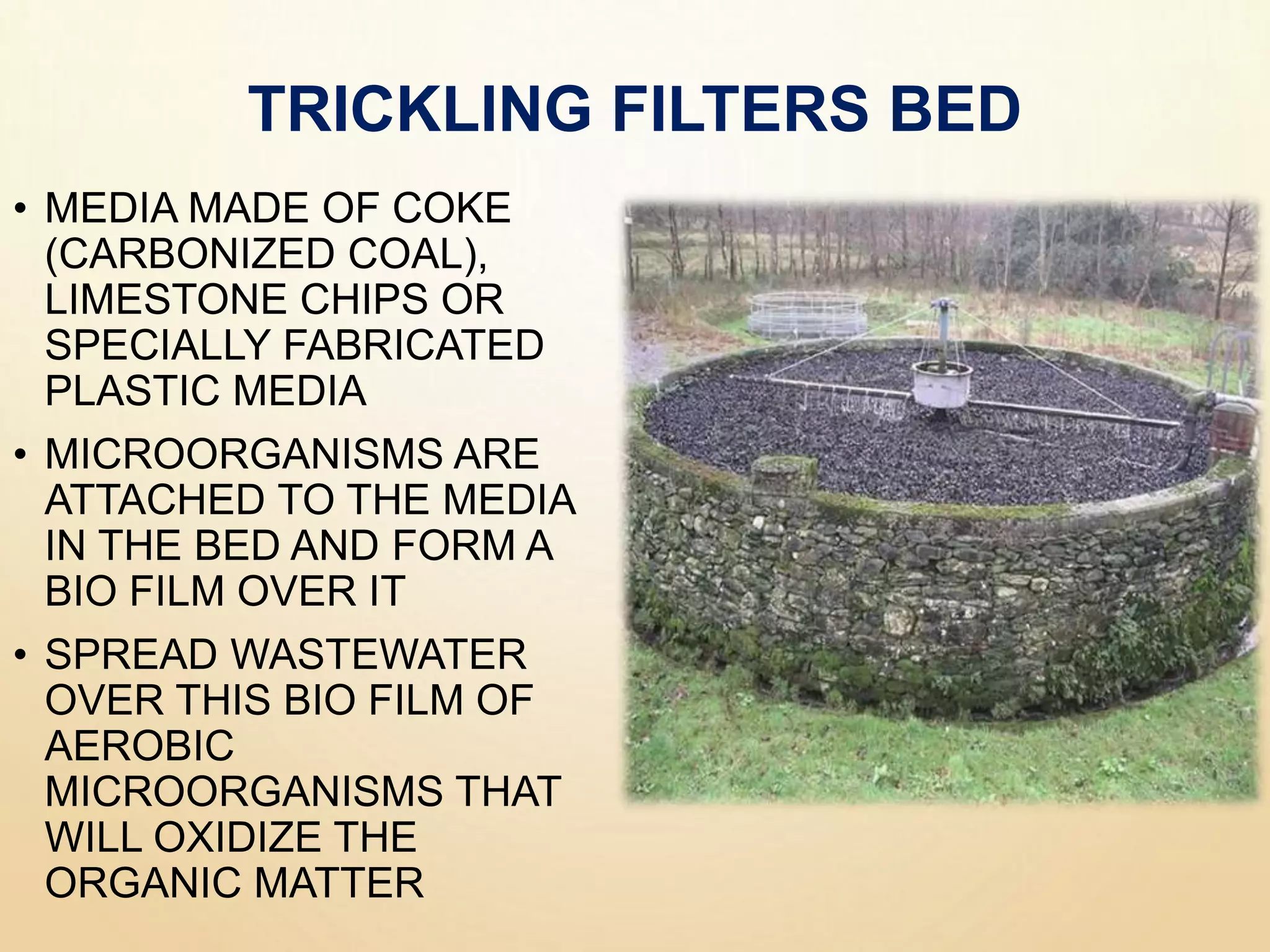 Microbes in waste water treatment | PPTX