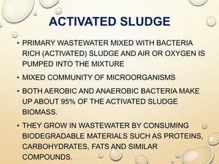 Microbes in waste water treatment | PPTX