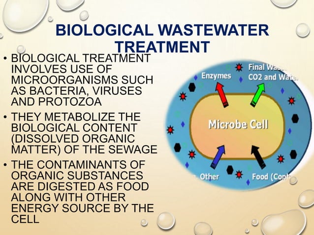 Microbes in waste water treatment | PPTX | Science